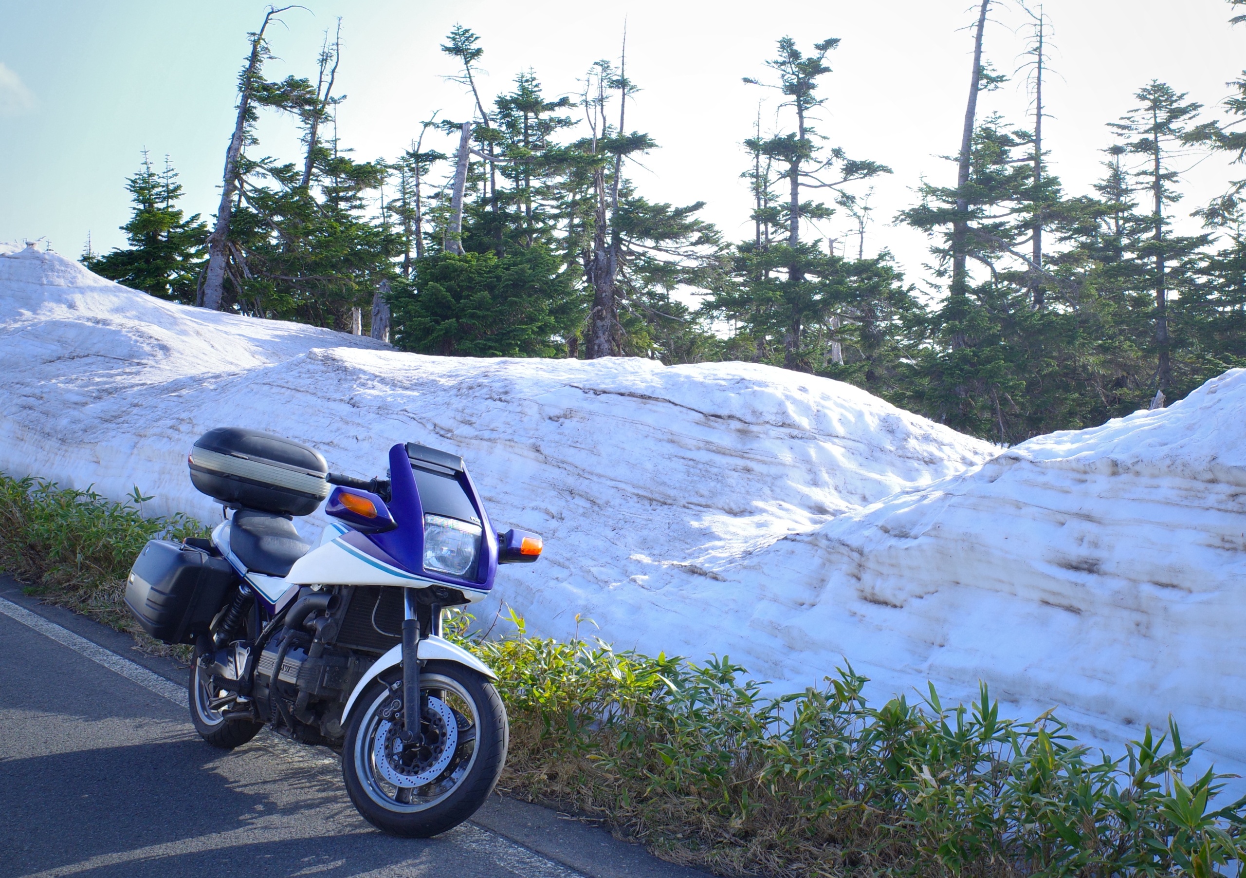 2024 GW みちのく一人旅 Day1 | sabitori.com